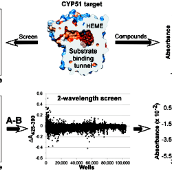 High throughput assay overview.