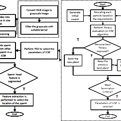 Flowchart of the proposed ICM–PSO method.