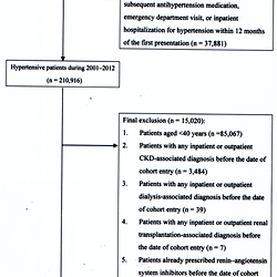 Data selection process.