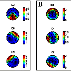 The topography maps of nine ICs calculated on two trials by ICA algorithm.