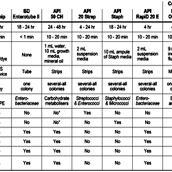 The BacChip versus current commercial diagnostics.