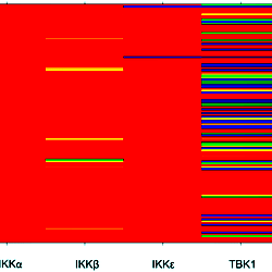 Relative activity of active compounds.