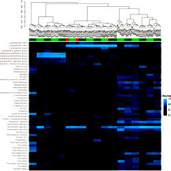 Heat map showing most abundant operational taxonomic units (OTUs) with ...