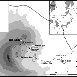 Map of Mt. Meru showing routes, elevational contours, and study sites.