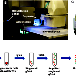Single-cell genotyping workflow implementing the Single-Cell Printer.