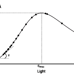 Example of relationship between ETR/Pobs ratio and light.