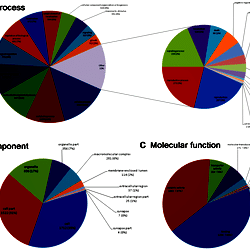 Pie charts showing gene ontology (GO) classification.