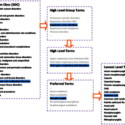 The MedDRA 5-level hierarchy demonstrated by using ‘common cold’ as an ...