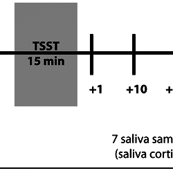 Sample acquisition in the course of the Trier Social Stress Test (TSST).