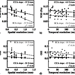 The Effect of Spatial and Temporal Resolution of Cine Phase Contrast ...