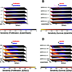 Sensitivity heat maps of the NPM-ALK network.