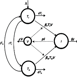 Schematic diagram of the model.