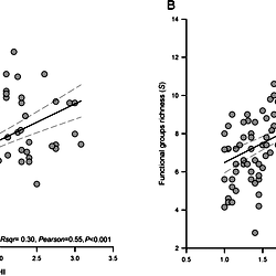 Linear regression and Pearson correlation.