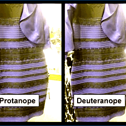 The Dress as seen by a color vision normal observer, protanope ...