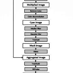 Block diagram of the image segmentation steps.