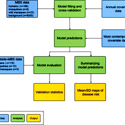 Schematic overview of the methods.