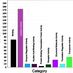 Molecular function categories.
