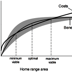 Representation of the benefits and costs of maintaining home ranges of ...