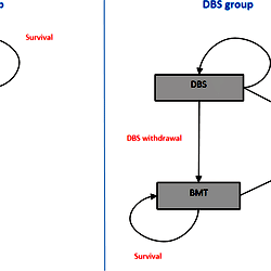 Model diagram BMT = best medical therapy; DBS = Deep brain stimulation.