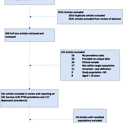 Systematic search flow diagram.