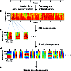 Schematic illustration of our sparse coding model.