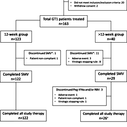Patient disposition flow chart.