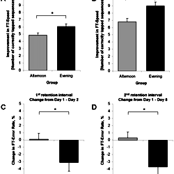 Procedural finger-tapping task.