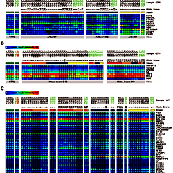 Classification analysis.