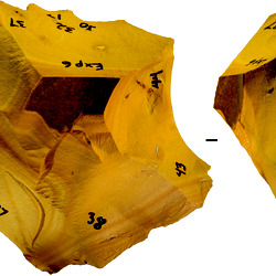 Experimental bifacial core produced from a cobble displaying ...