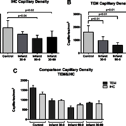 Capillary density.