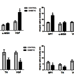 Quantification of the immunohistochemical staining.
