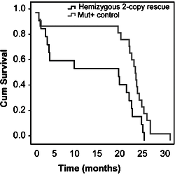 Kaplan Myer curve comparing survival rates for rescue mice relative to ...