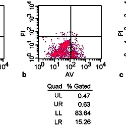 Cardiomyocyte apoptotic rate was determined by flow cytometry with ...