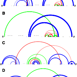 Typical sample structures for all genus 3 subclasses