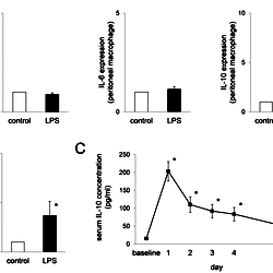 LPS treatment increased serum IL-10 concentration and IL-10 expression ...
