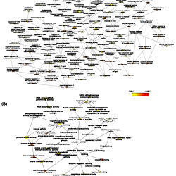 Dissecting the Root Nodule Transcriptome of Chickpea (Cicer arietinum L ...