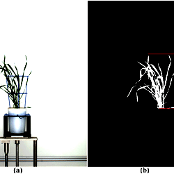 Demonstration of the image segmentation process and zonal partitioning ...