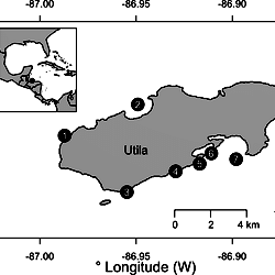Map of study sites around Utila, Honduras.