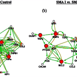 Sub-networks of type I SMA compared to controls (SI/C) and type I SMA ...