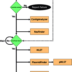 Flowchart depicting the workflow of the BAP.