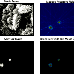 Three examples of aperture mask placement.