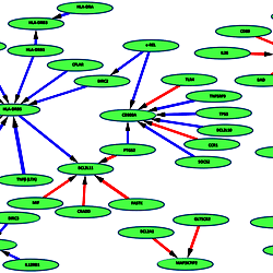 Network inference map results from the T50 VS dataset across both CN ...