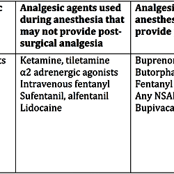 Analgesic Properties of Agents Used During Surgical Anesthesia.