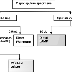 Laboratory workflow.