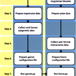 The flowchart of the software.
