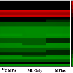 A comparison of the 13C-MFA flux, the flux predicted by ML only, and ...