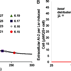 Competing influences on fractional autoinduction.