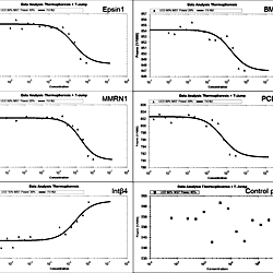 MicroScale thermophoresis (MST) analysis.