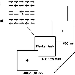 A flow chart of the Flanker task and examples of the stimuli.
