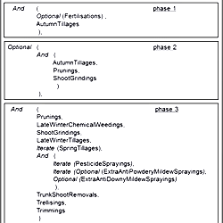 Plan used for the example MG11 vineyard.